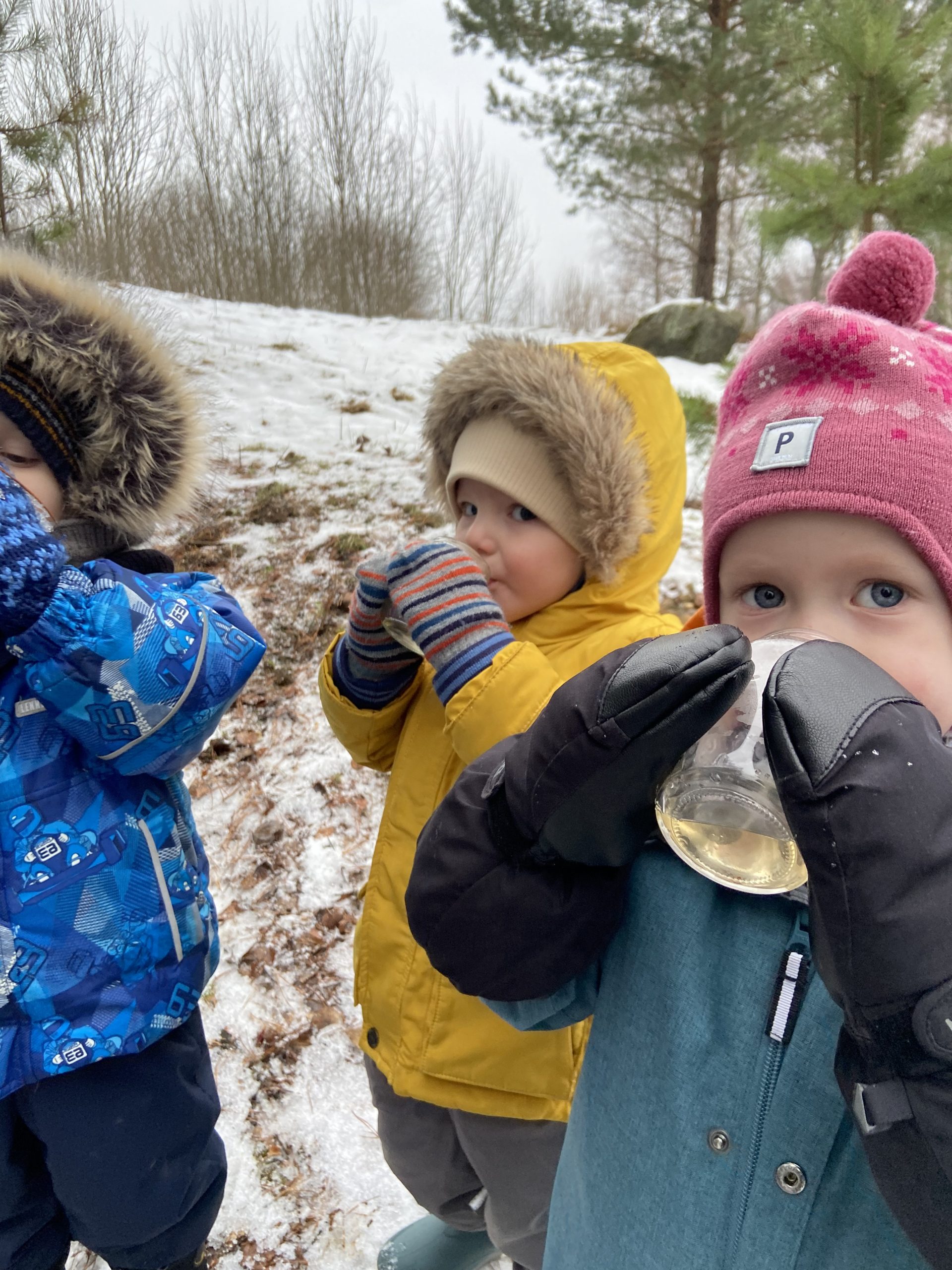 Priežu pumpuri! - Līvu pirmsskolas izglītības iestāde